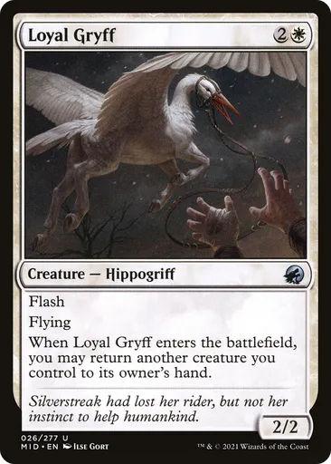 Loyal Gryff - Innistrad: Midnight Hunt - MTG - Untapped.gg